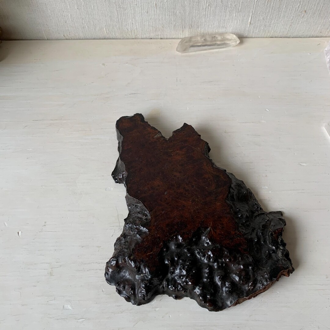 Vintage Wood Specimen - Log Cross Section - Burly Maple Varnished ...
