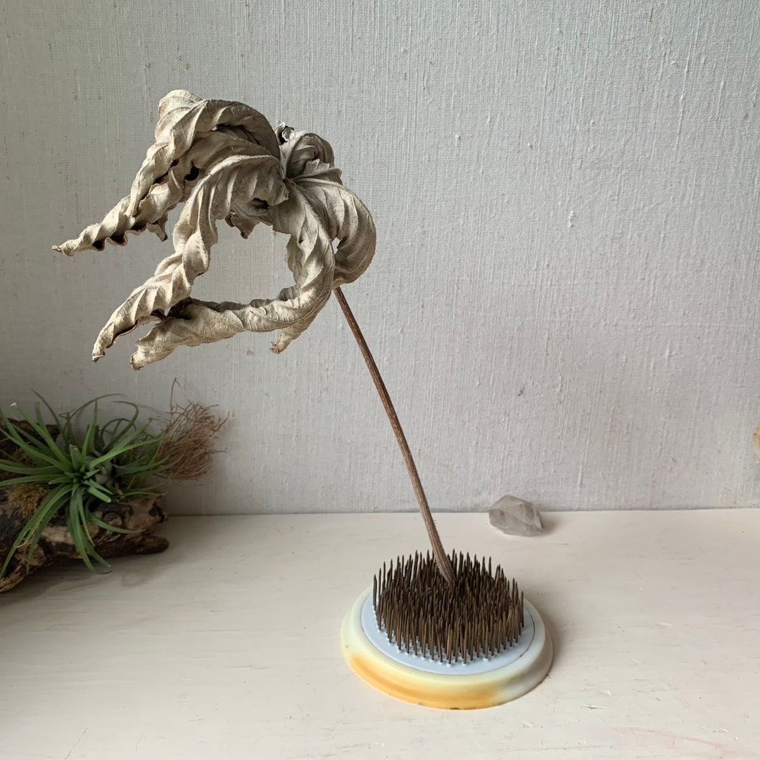 Vintage Flower Pin Frog With White Distressed Plastic Base - Rusty ...