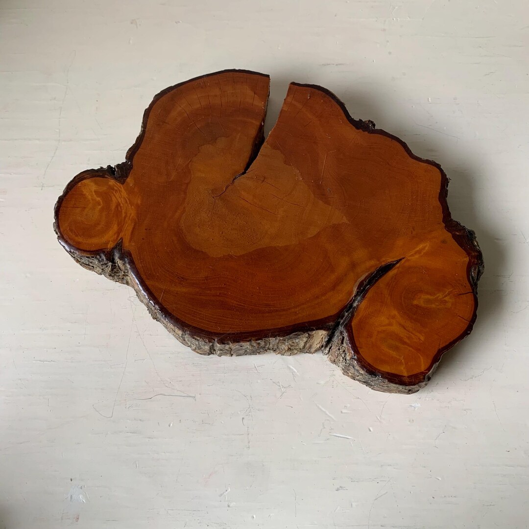 Vintage Varnished Wood Slab - Japanese Wood Specimen - Log Cross ...