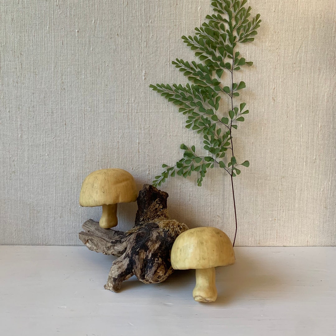 Vintage Faux 70s Mushrooms 1970s Realistic Button Mushroom Pair Plastic ...