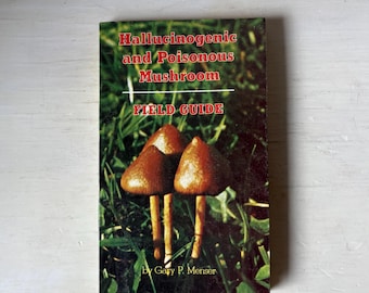 Free Blogger Personal Templates - Etsy