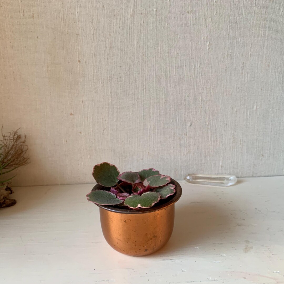 Vintage Copper Planter Metal Cache Pot Houseplant Collection Aged ...