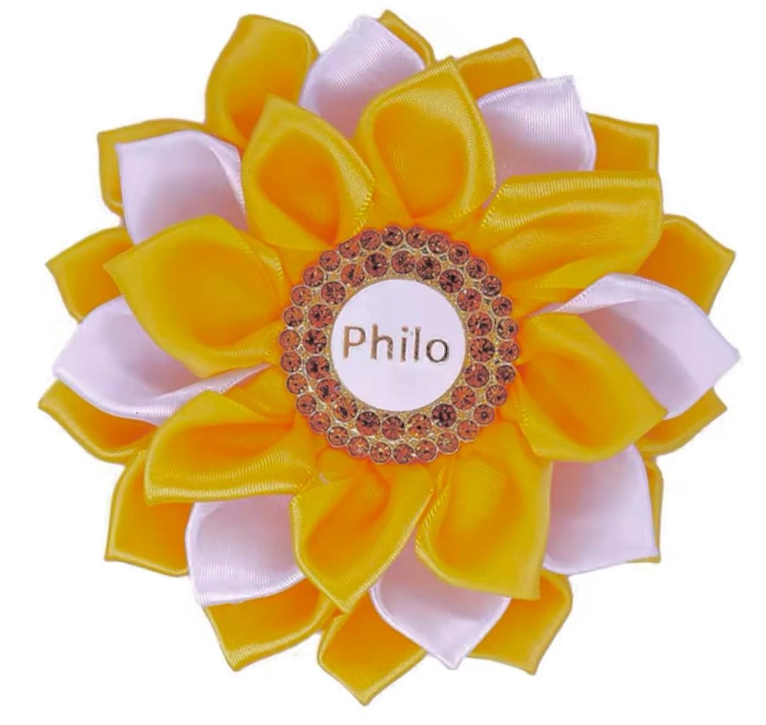 Philo Floral Pin - Etsy
