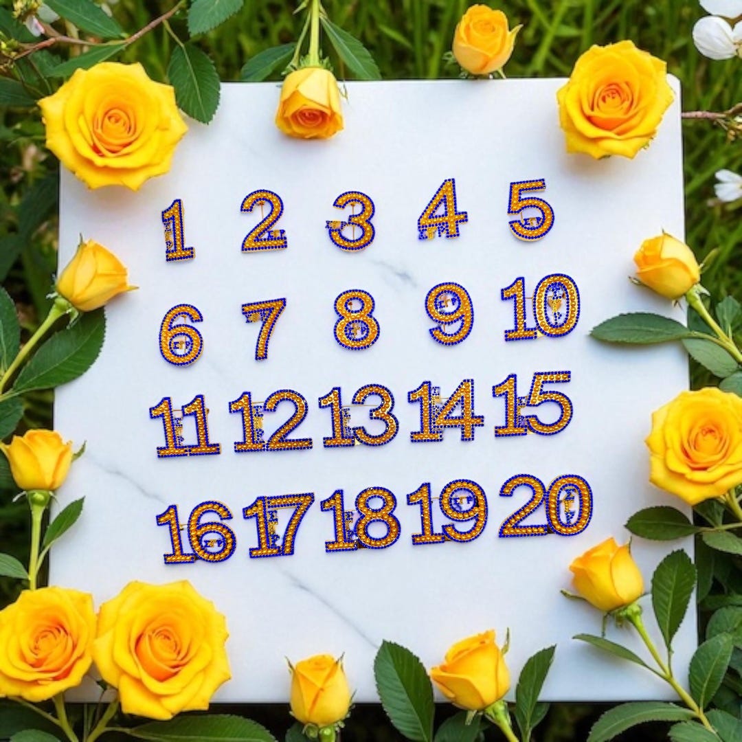 Sigma Gamma Rho Line Number Brooches (1-20) With Greek Letters ΣΓΡ - Etsy