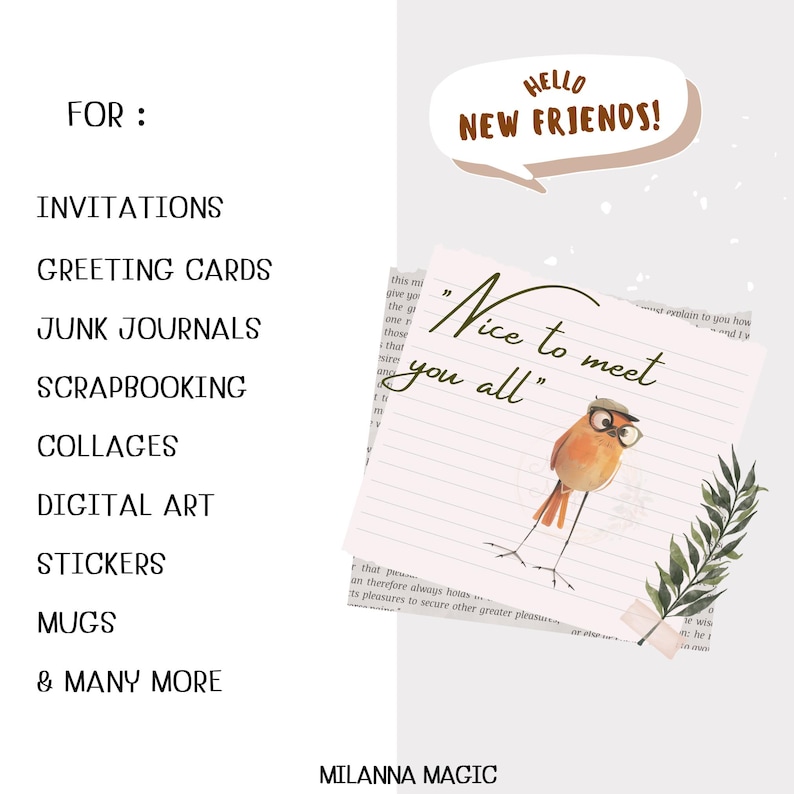 Whimsical Quirky Birds Clipart Set | Cartoon Style Illustrations for ...