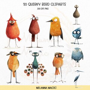 Whimsical Quirky Birds Clipart Set | Cartoon Style Illustrations for ...