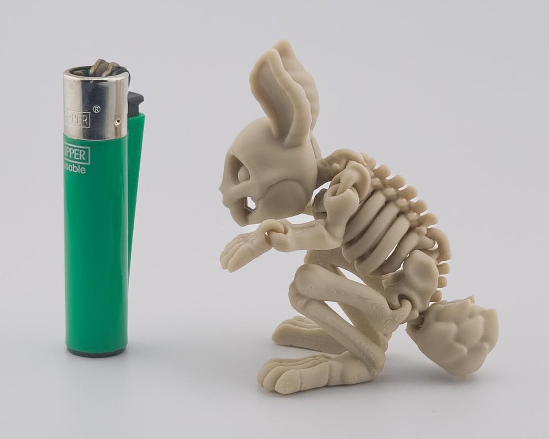 Articulated Pet Skeleton: 3D Printed Desk Decor - Etsy