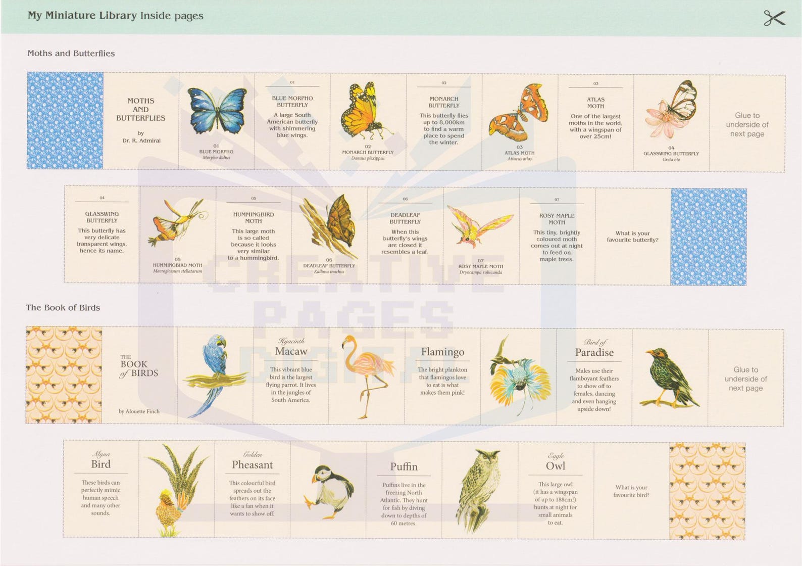 My Miniature Library - Make Your Own Books - English - Etsy