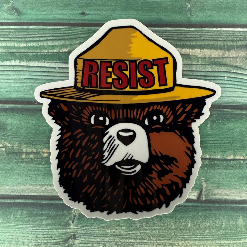 Nature Stickers - Etsy