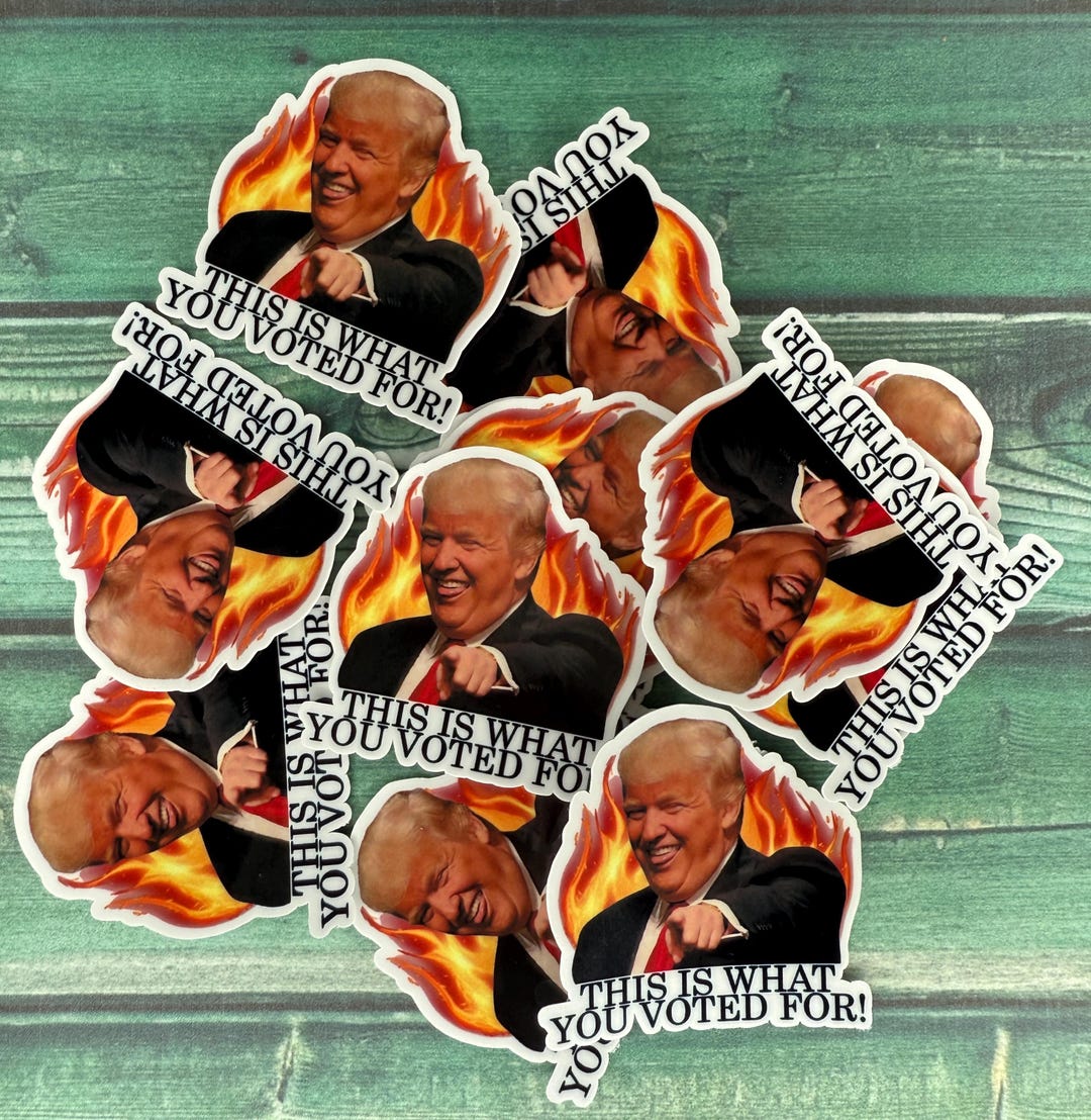 This is What You Voted for Multipack Waterproof/fade Resistant Sticker ...