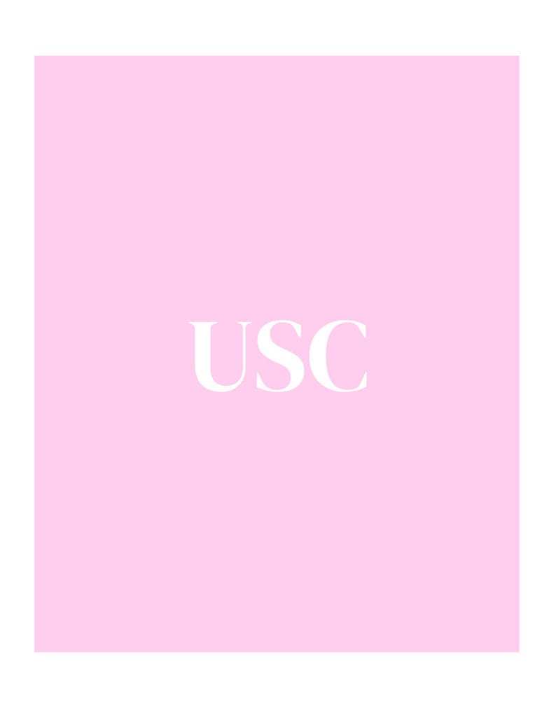 College Prints of University of South Carolina, College Trendy Wall Art ...