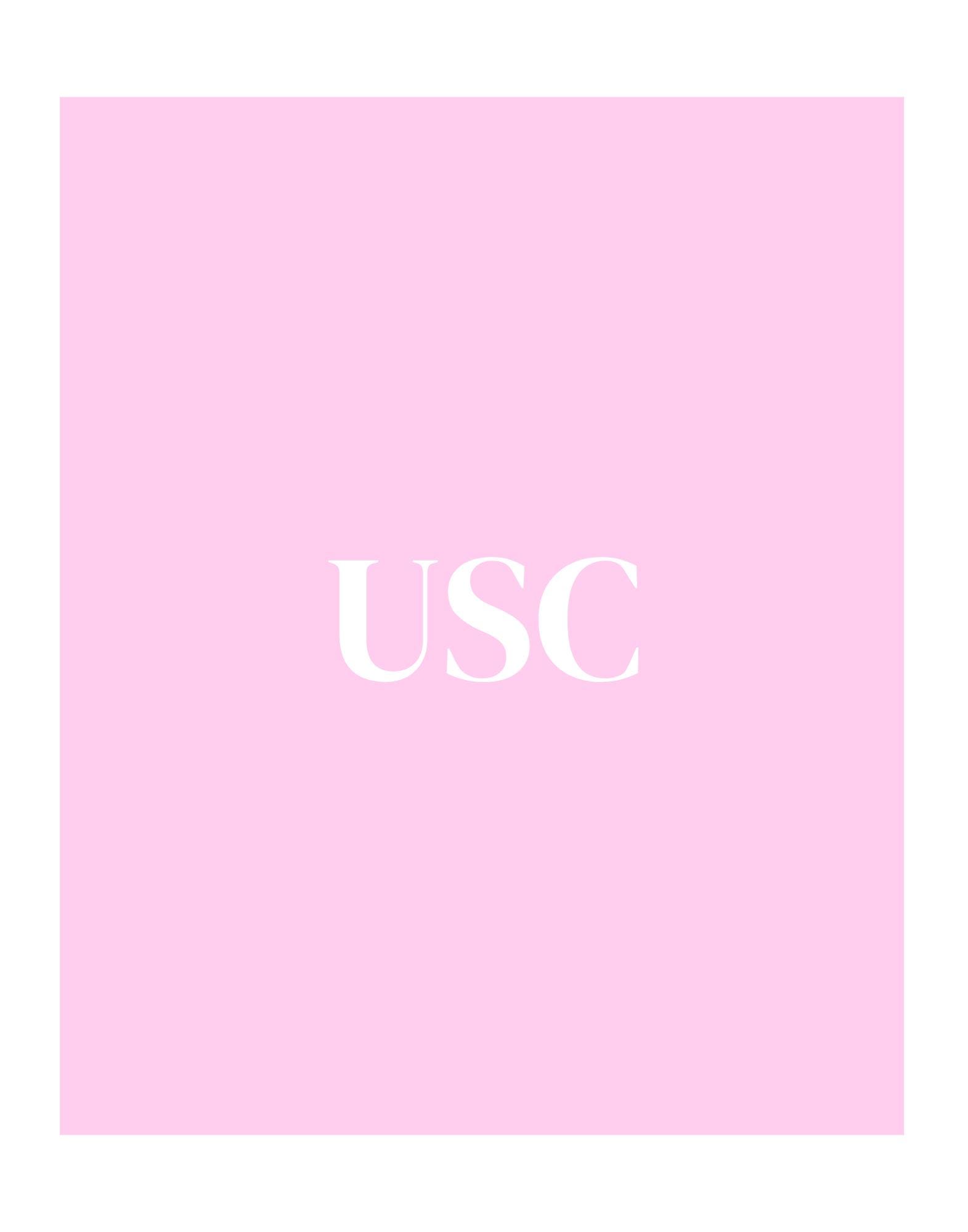 College Prints of University of South Carolina, College Trendy Wall Art ...