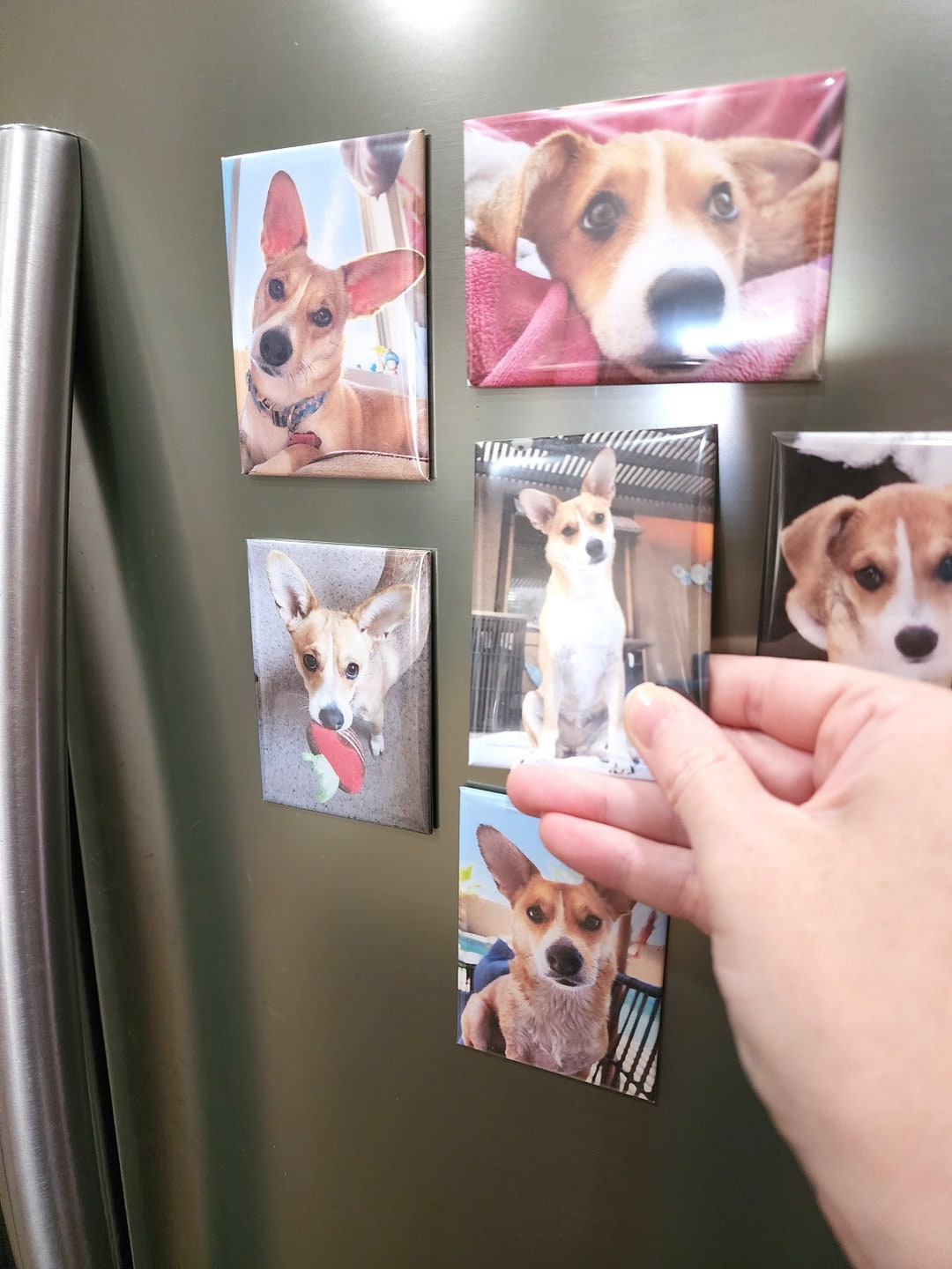 YOUR PHOTO MAGNETS 3.5 X 2.5 Large Photo Fridge Magnets Pets Kids ...