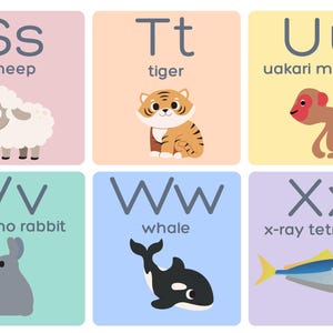 Rainbow Pastel Animal Alphabet Flashcards Digital Download - Etsy