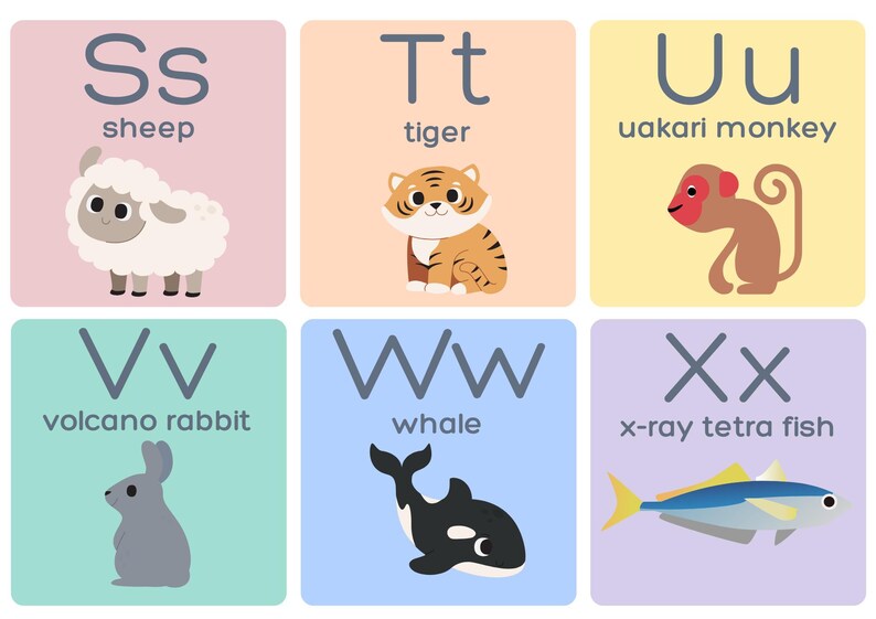 Rainbow Pastel Animal Alphabet Flashcards Digital Download - Etsy
