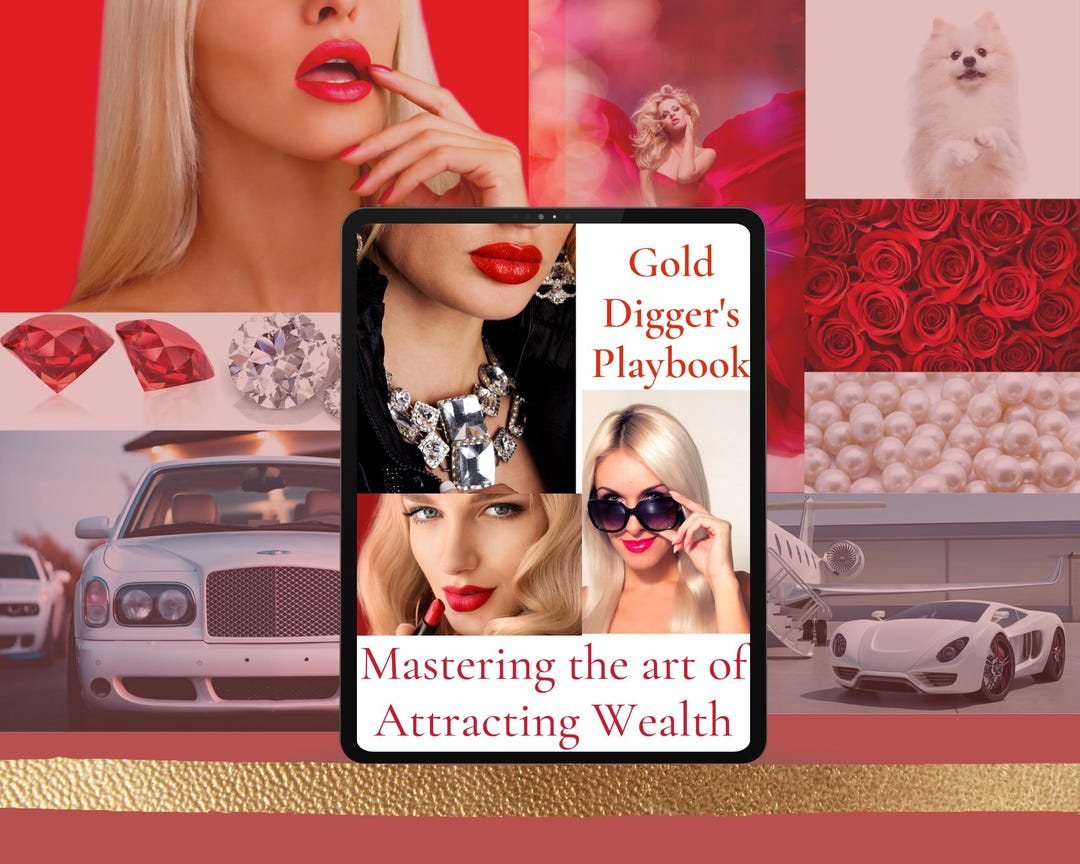 Gold Digger's Playbook. Mastering the Art of Attracting Wealth! Wealth Attraction, Empowering ...