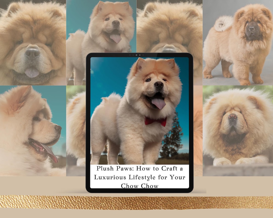 Chow Chow Luxurious Lifestyle Ebook: Grooming, Nutrition & Training ...