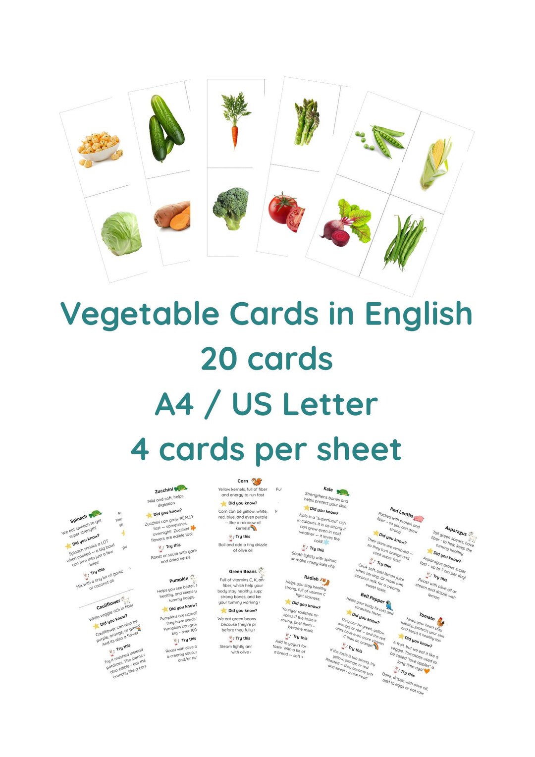 Montessori Vegetable Flashcards for Kids | Picky Eater Aid (PDF ...