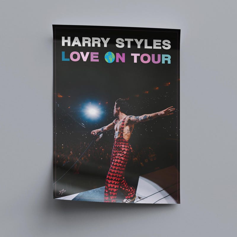 Harry Styles Room Decor - Etsy