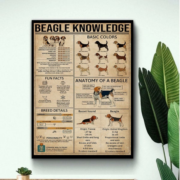 Beagle Decor - Etsy