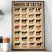 Breeds of Cattle Poster, Types of Cattle, Cattle Knowledge, Vintage ...