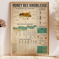 Classroom Bee Posters - Summer School - Classroom Decor - "bee" and "be ...