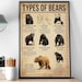 Bear Knowledge Print, Types of Bear Poster, Bear of the World Print ...