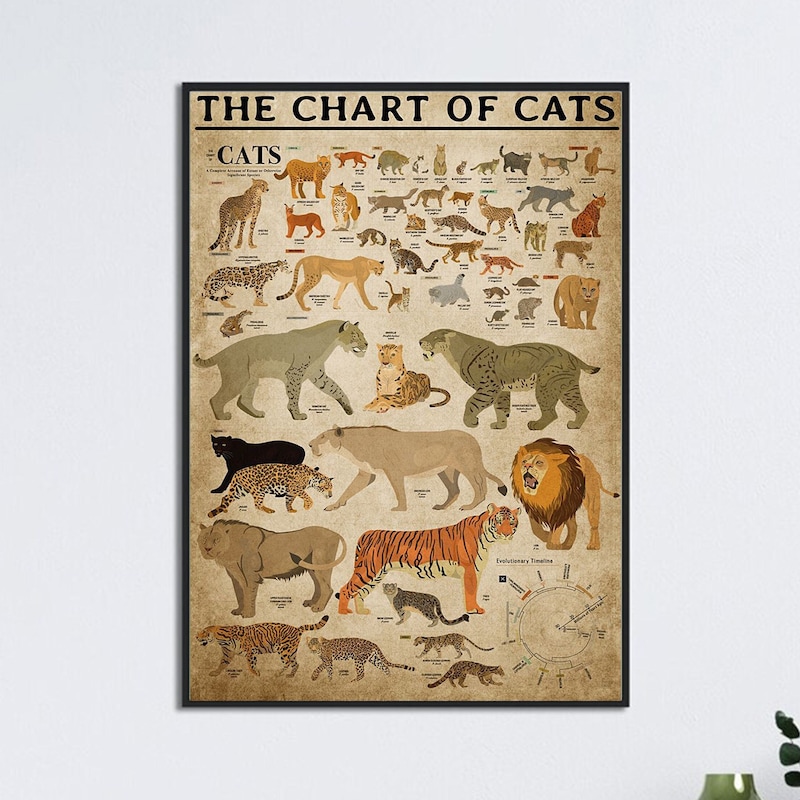 Cat Posters - Etsy
