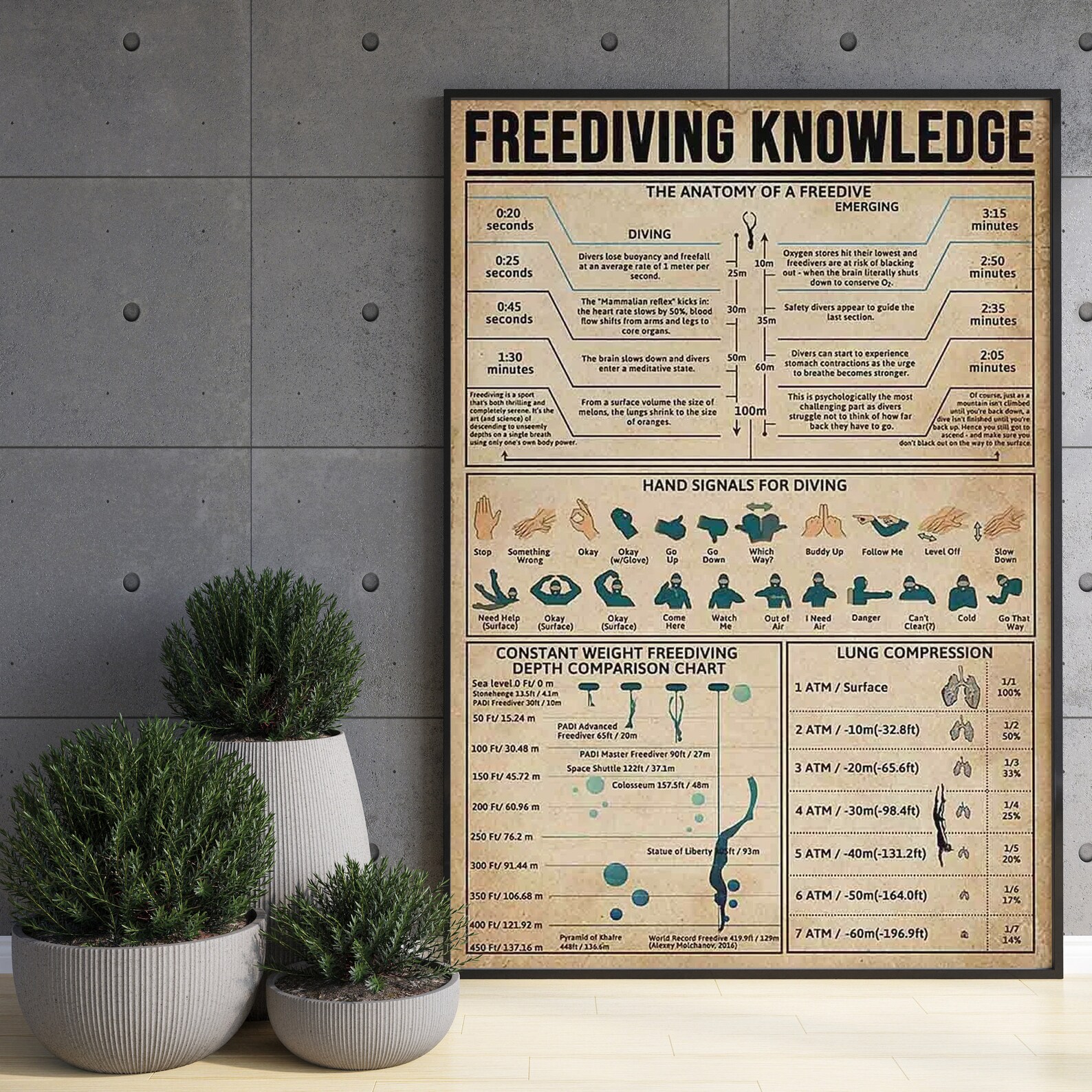 Freediving Knowledge Poster, the Anatomy of A Freedive, Hand Signals ...