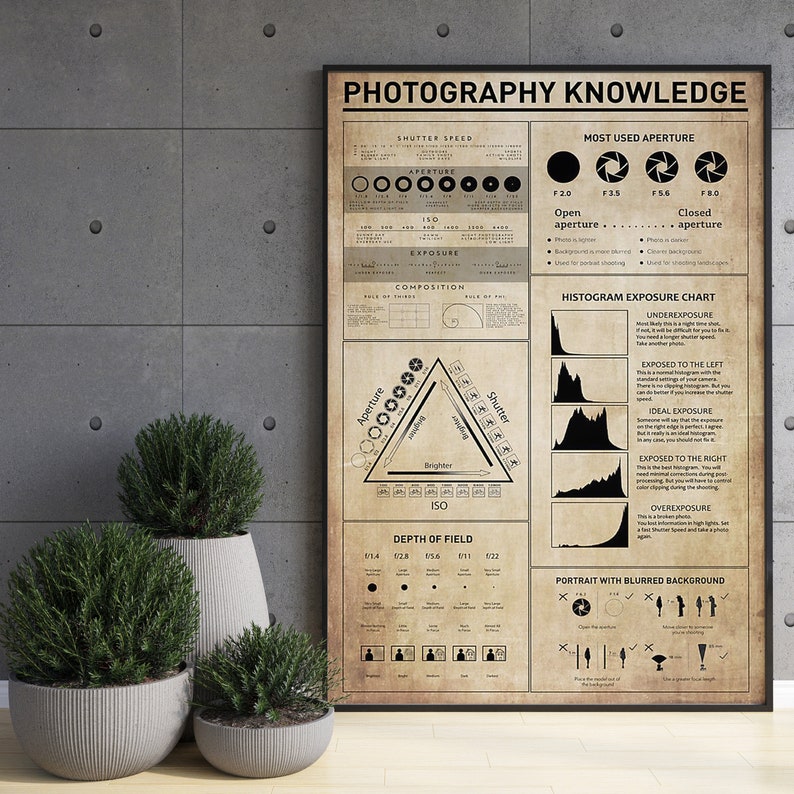 Photography Knowledge, Knowledge Poster, Camera and Photography Lovers ...