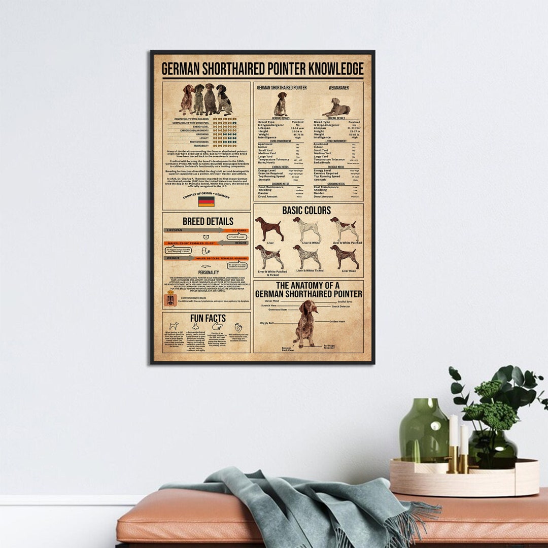 German Shorthaired Pointer Knowledge Poster, Dog Poster, Vintage Poster ...