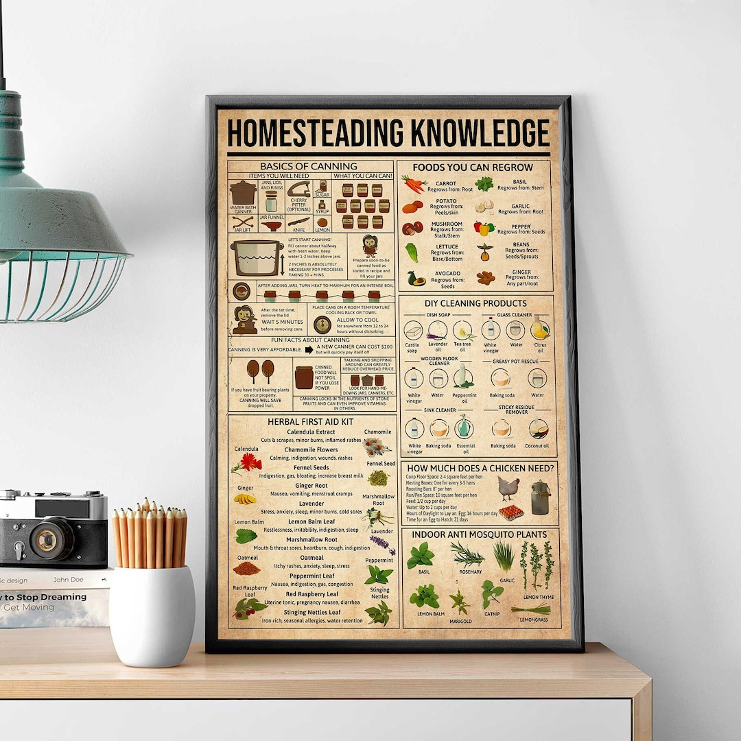 Homesteading Knowledge Poster, Kitchen Wall Hanging, DIY Cleaning ...