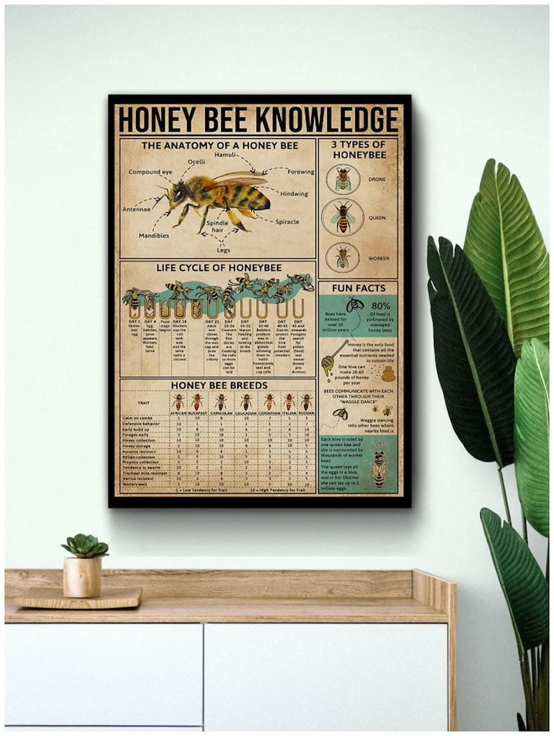 Honey Bee Knowledge Poster, Bee Home Decor, Honey Bee Wall Decor, the ...