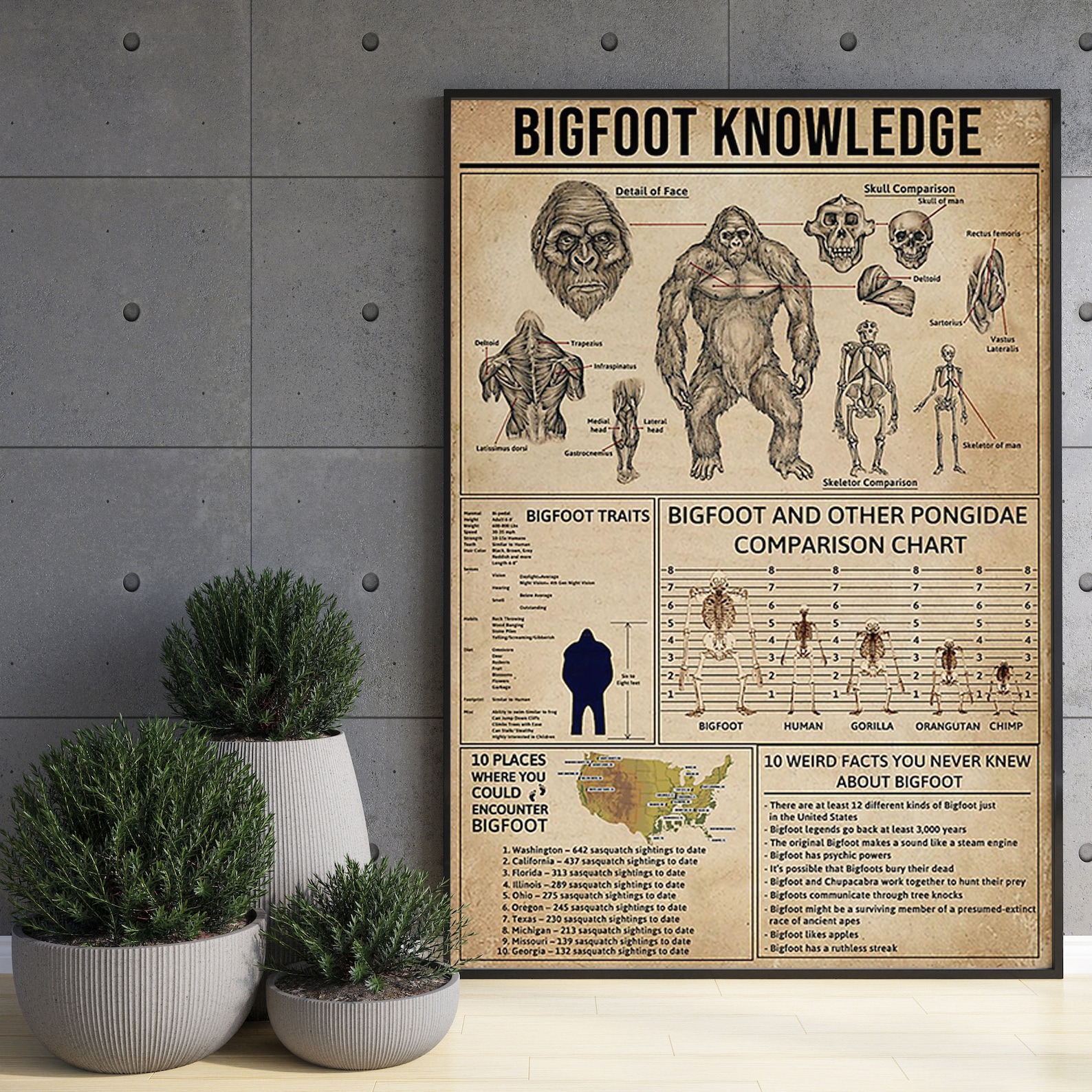 Bigfoot Knowledge Poster, Knowledge Poster, Bigfoot Lover Poster Gift ...