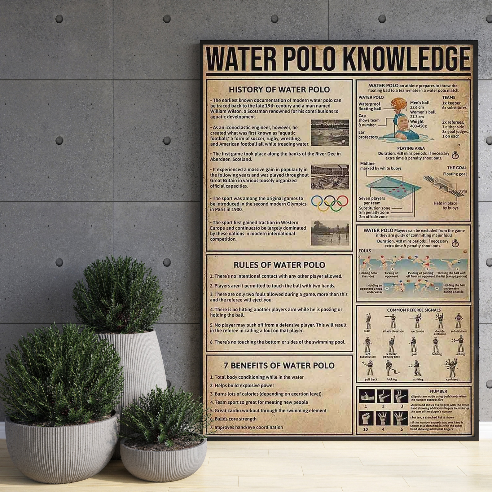 Water Polo Knowledge Poster, History of Water Polo, Rules of Water Polo ...