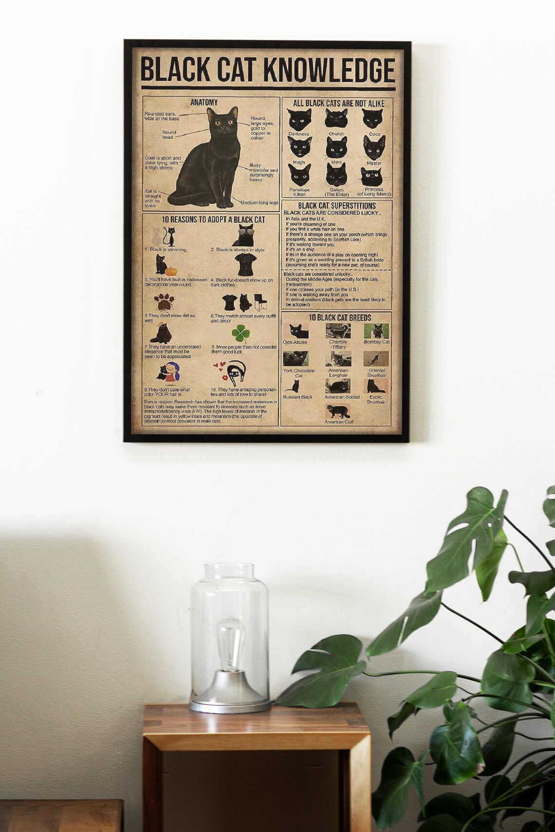 Black Cat Knowledge Poster Black Cat Decor Gift for Cat - Etsy Ireland