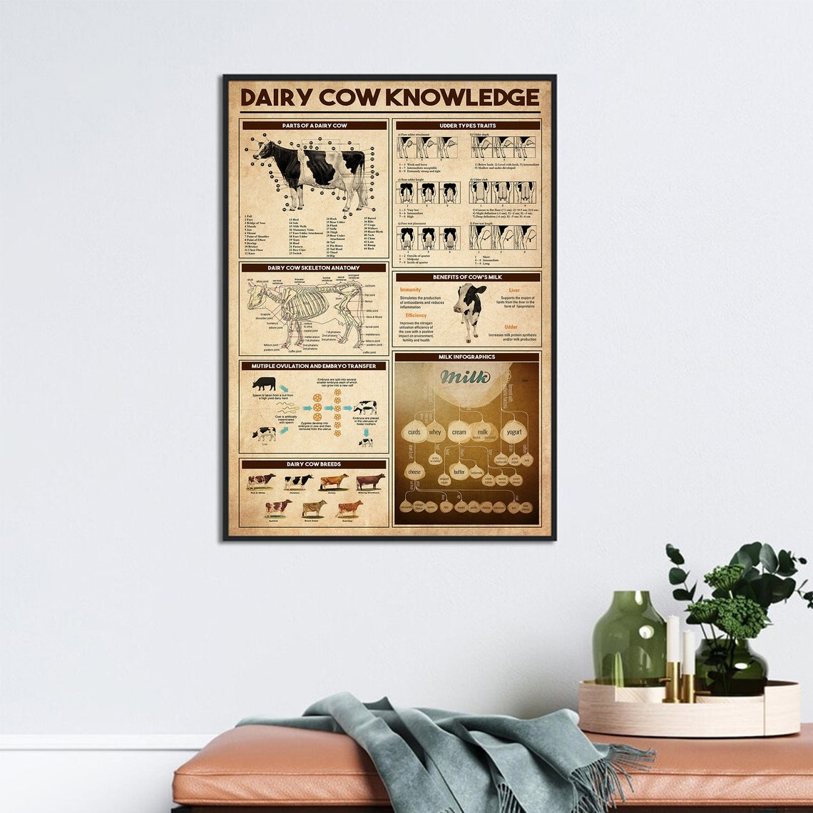 Dairy Cow Knowledge Poster, Cow Wall Hanging, Anatomy of A Dairy Cow ...