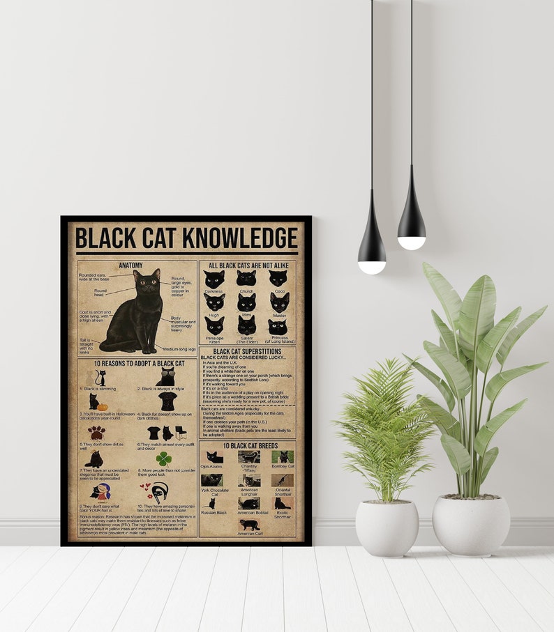 Black Cat Knowledge Poster, Black Cat Decor, Gift for Cat Lovers, Black ...