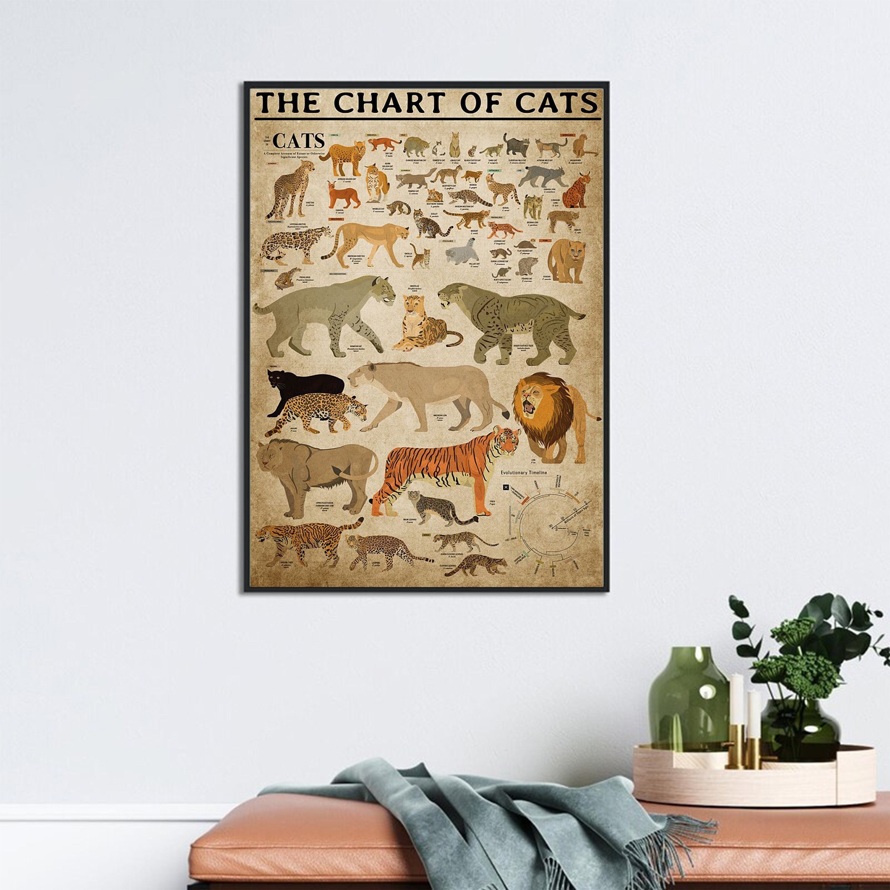 Cat Breeds Chart