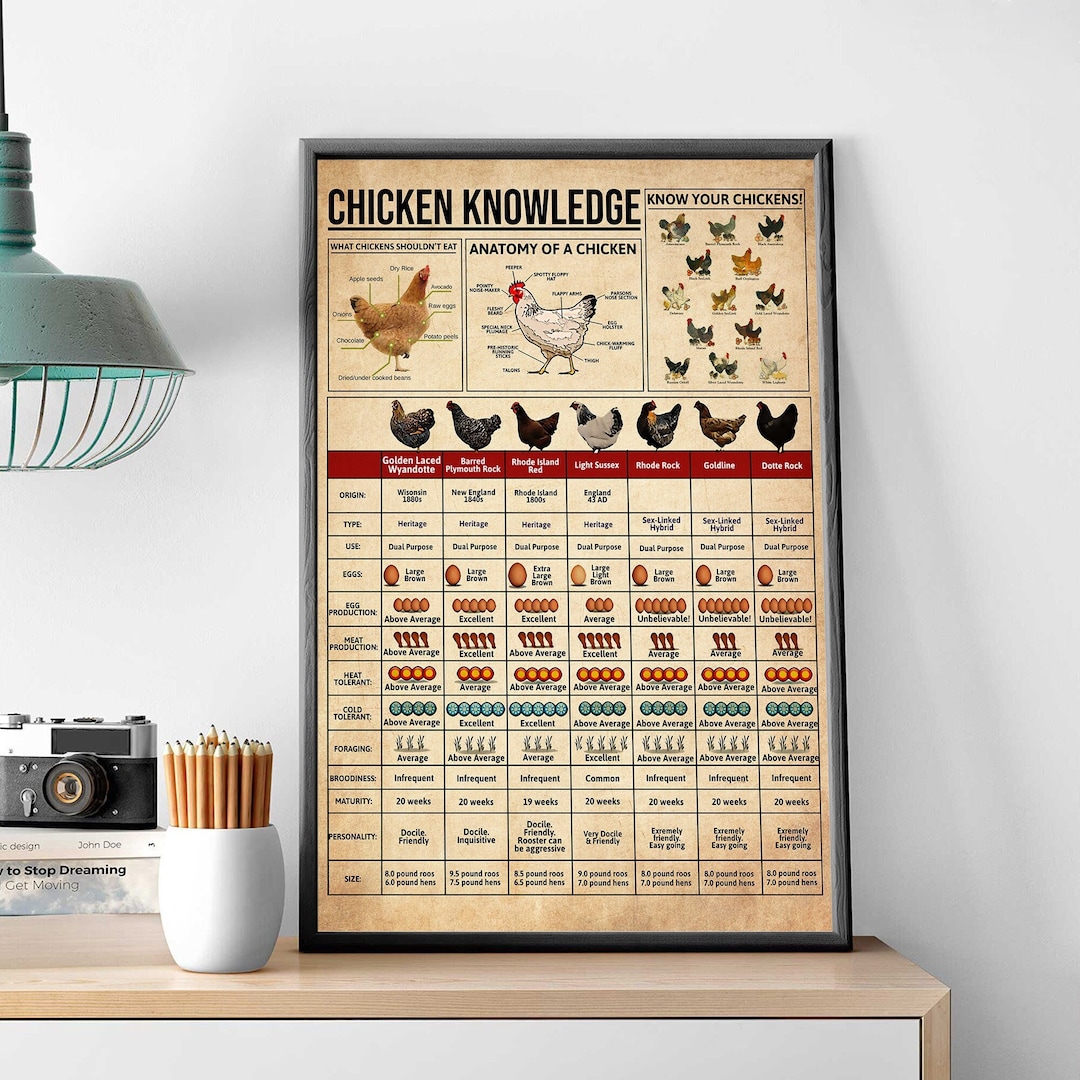 Chicken Knowledge Poster, Anatomy of A Chicken, Farmhouse Wall Hanging ...