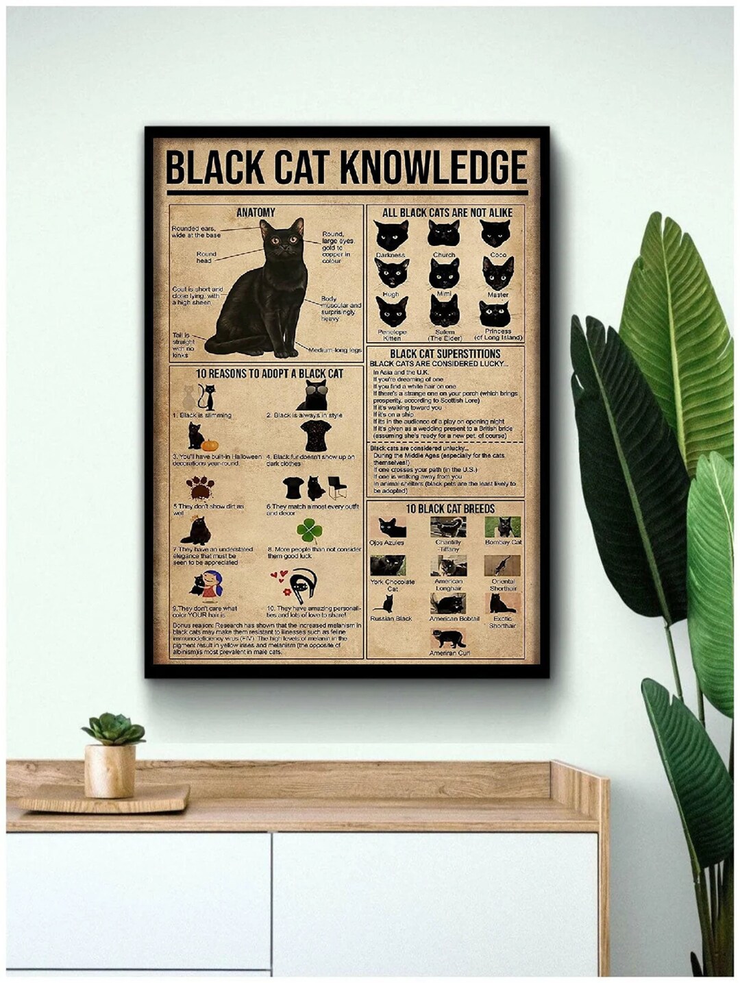 Black Cat Knowledge Poster Black Cat Decor Gift for Cat - Etsy