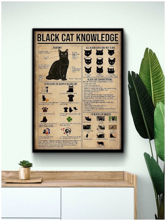 Black Cat Knowledge Poster Black Cat Decor Gift for Cat - Etsy