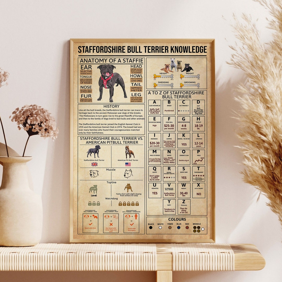 Staffordshire Bull Terrier Knowledge Poster, Anatomy of A Staffie, Dog ...