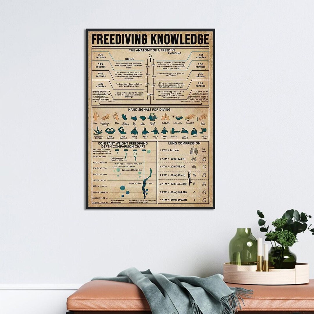 Freediving Knowledge Poster, the Anatomy of A Freedive, Hand Signals ...