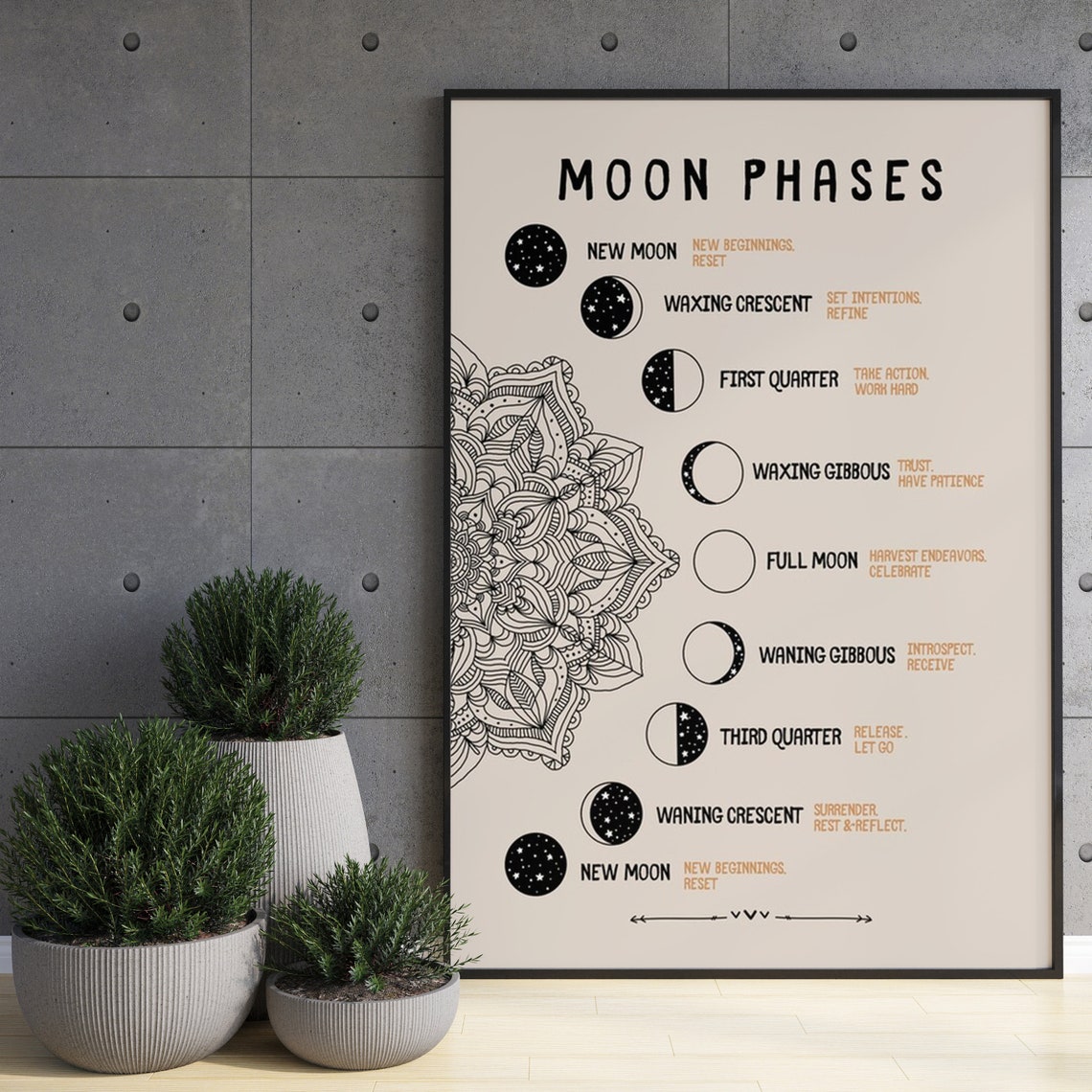 The Moon Poster Moon Phase Meanings Phases of the Moon Moon - Etsy