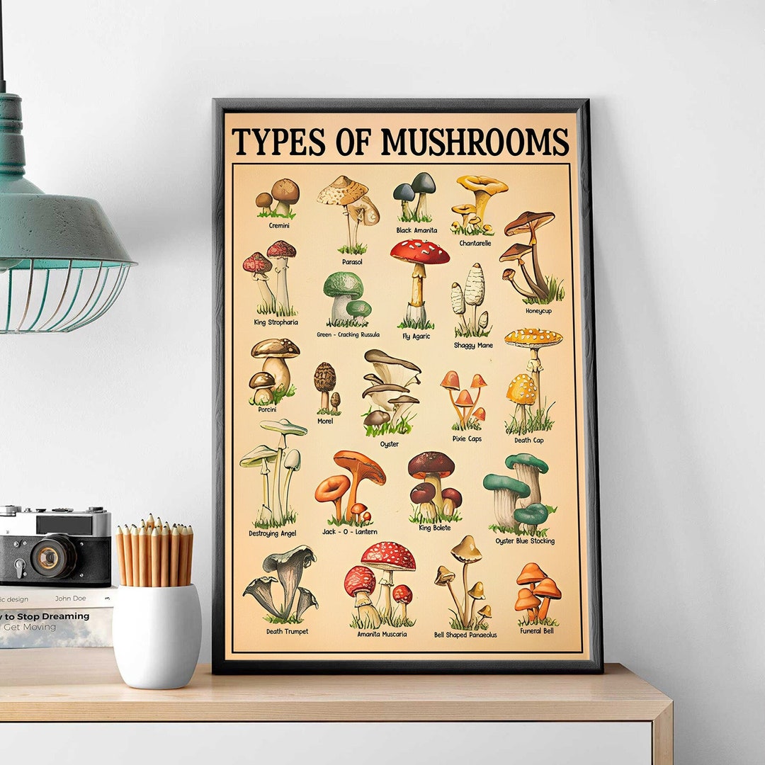 Types of Mushrooms Print, Mushroom Knowledge Poster, Mushrooms Guide ...