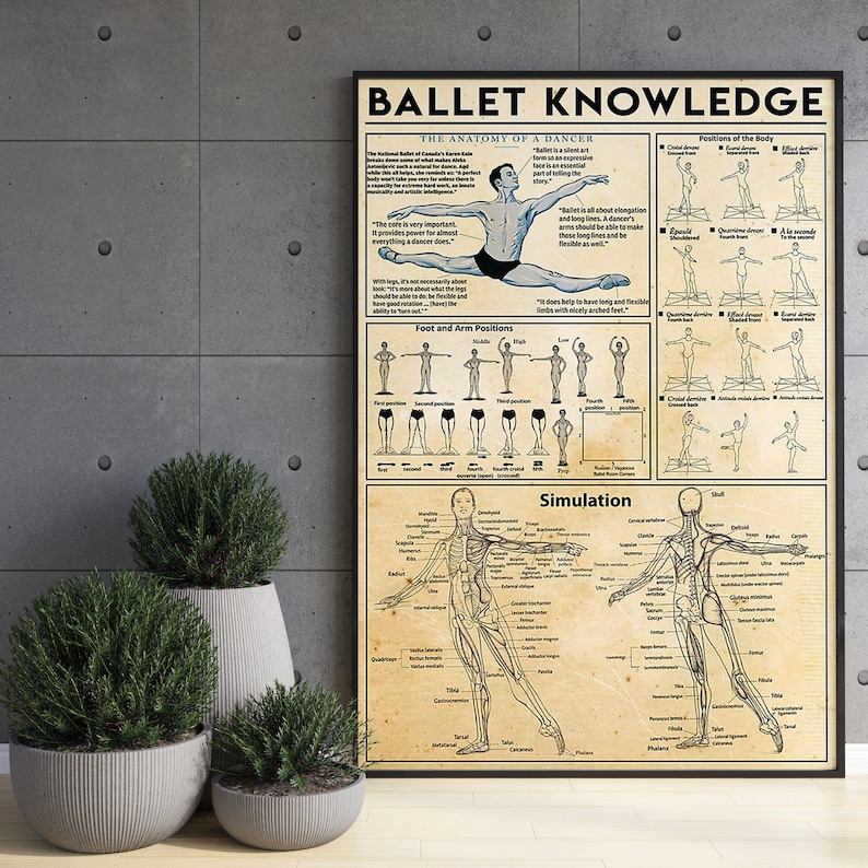 Ballet Knowledge Poster, the Anatomy of A Dancer, Positions of the Body ...