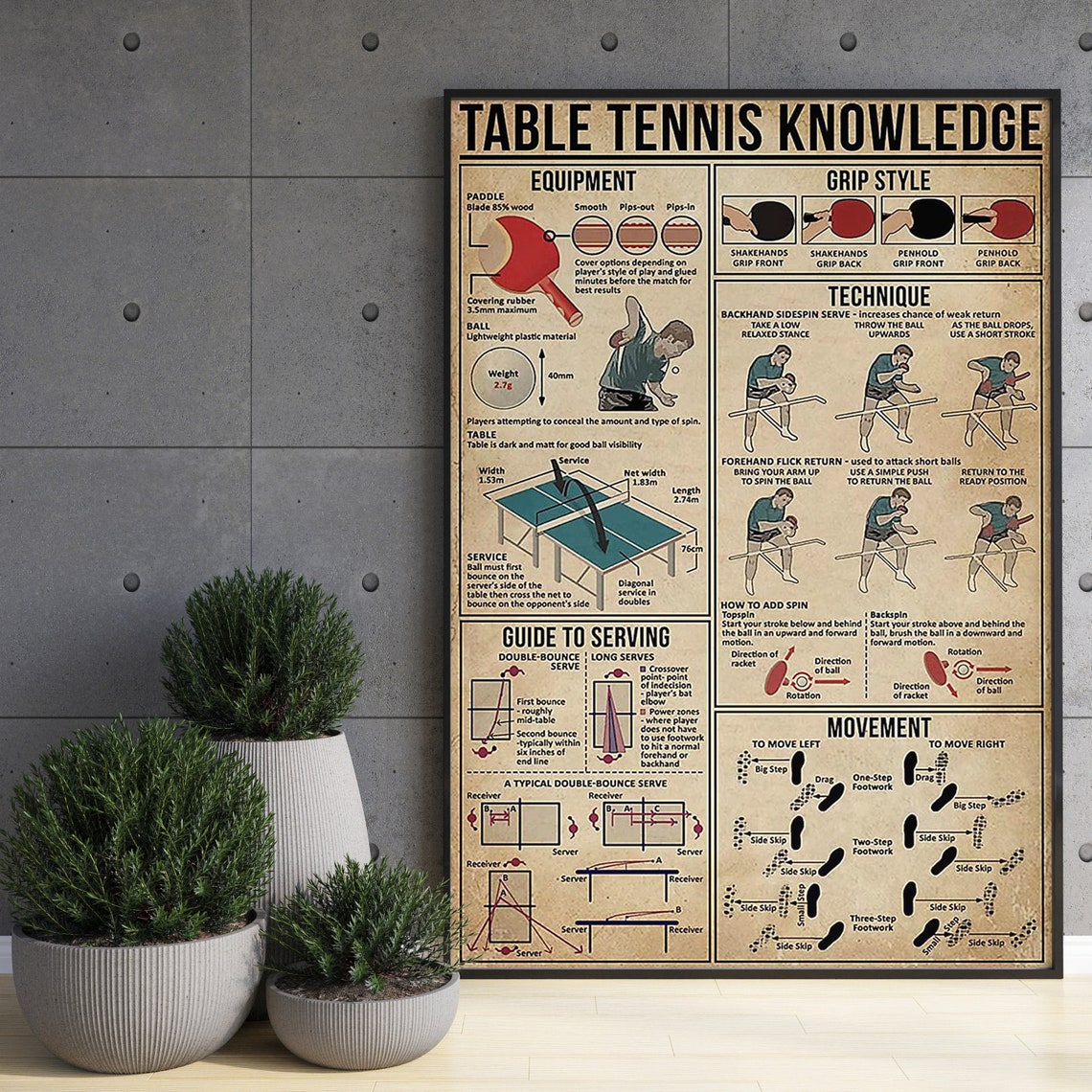 Table Tennis Knowledge Poster, Table Tennis Wall Decor, Table Tennis ...