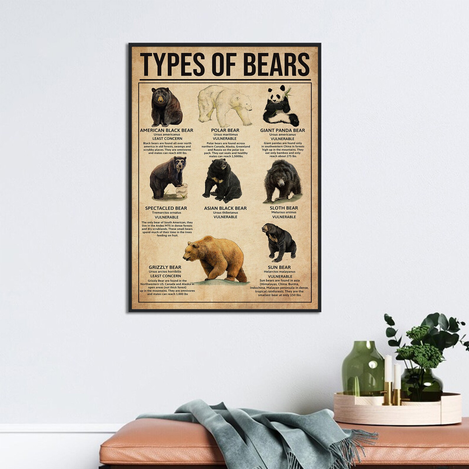 Bear Knowledge Print, Types of Bear Poster, Bear of the World Print ...
