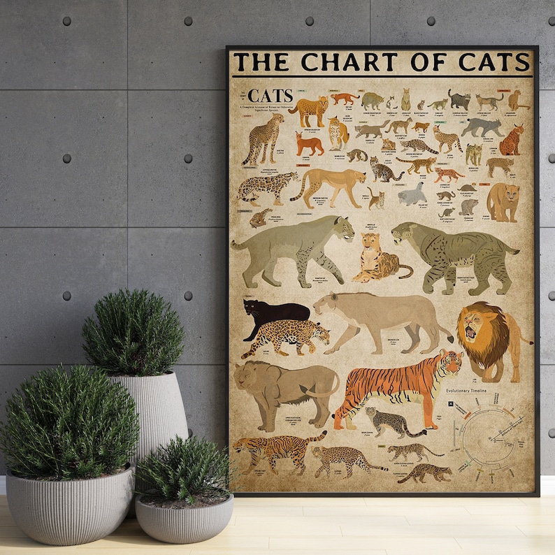 The Chart of Cats Poster Cat Breeds Print Cat Breeds Chart - Etsy